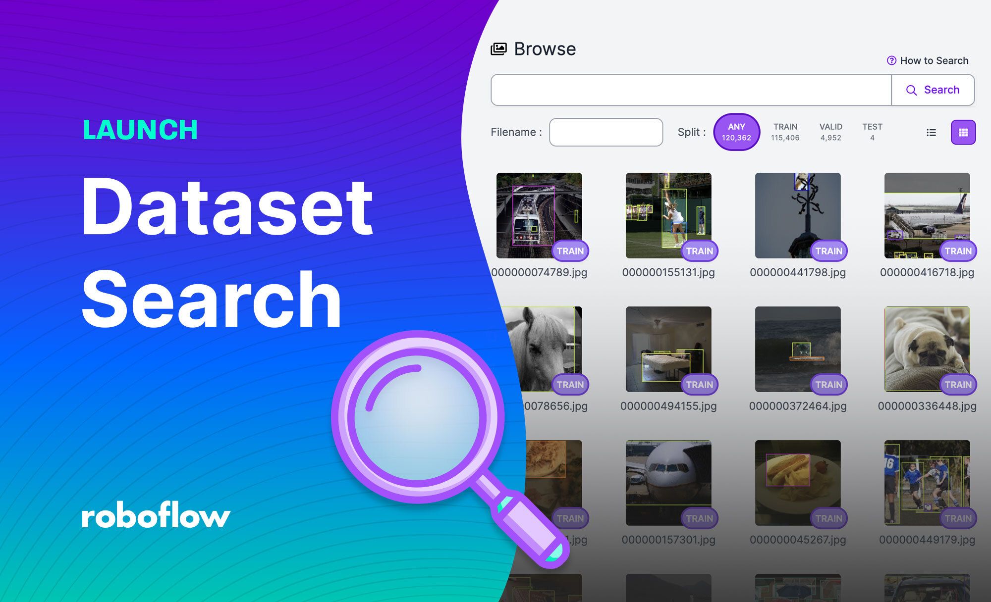 Launch Dataset Search