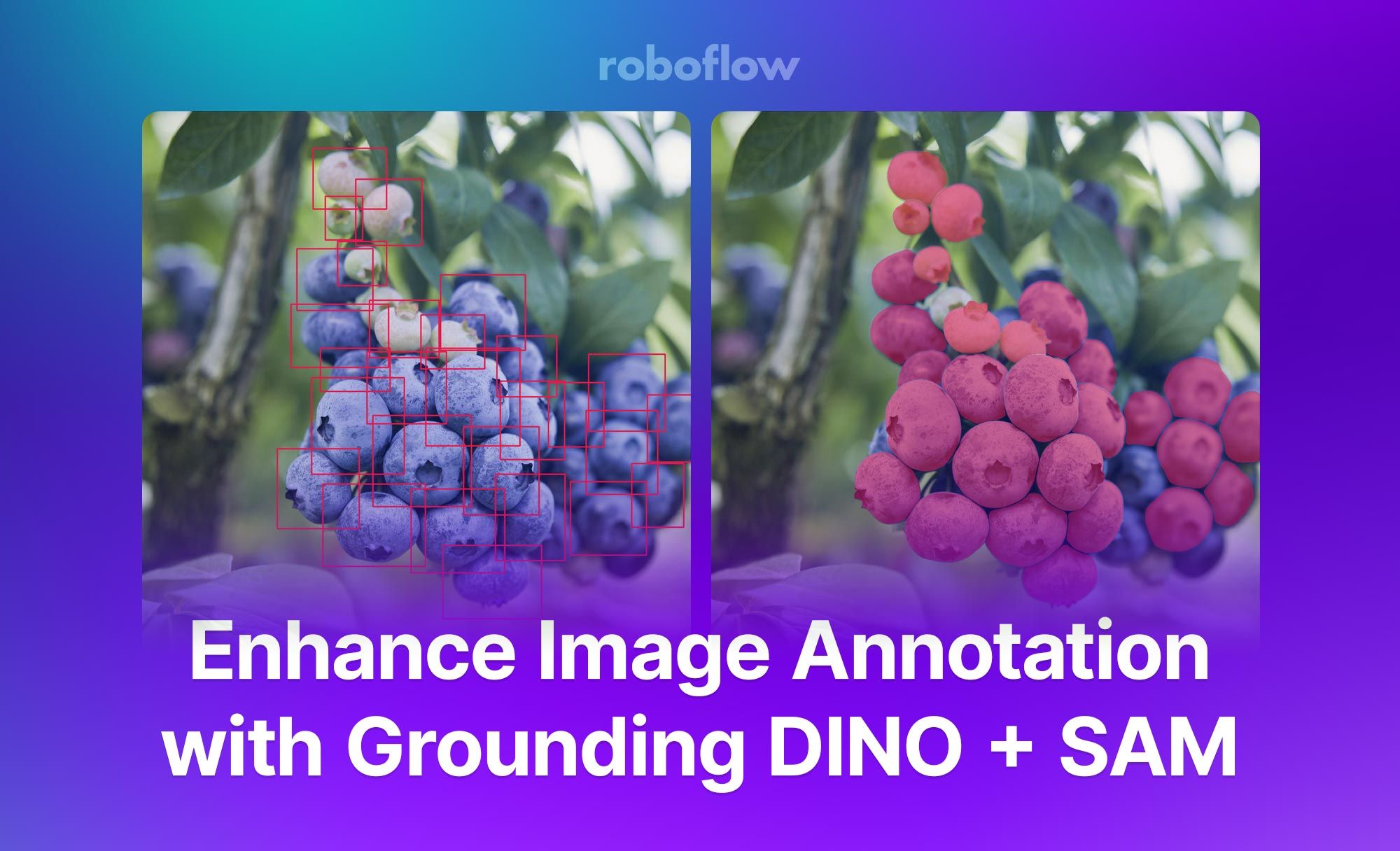 Zero Shot Image Annotation With Grounding Dino And Sam A Notebook Tutorial