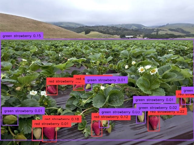 Tips and Tricks for Prompting YOLO World