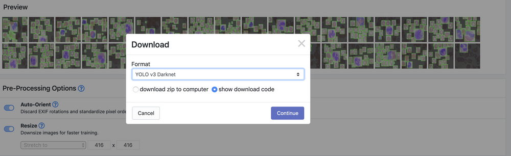 Train a YOLOv4-tiny Model on a Custom Dataset