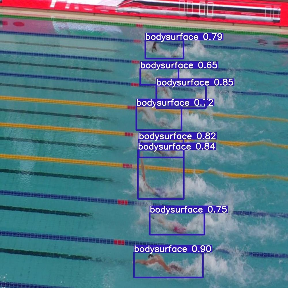 How to Train a YOLOv7 Model on a Custom Dataset