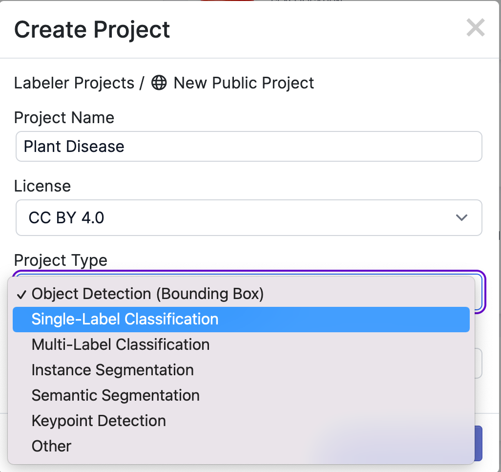 How to Train YOLOv5-Classification on a Custom Dataset