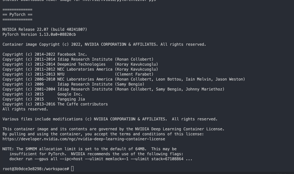 Develop like a Pro with NVIDIA + Docker + VS Code + PyTorch