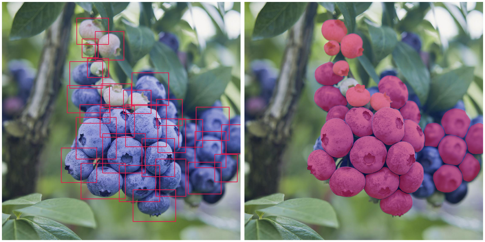 Zero-Shot Image Annotation with Grounding DINO and SAM - A Notebook ...