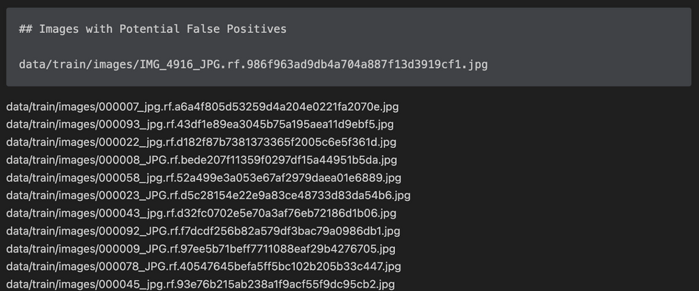 How to Identify Mislabeled Images in Computer Vision Datasets