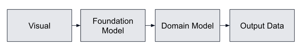 Use Cases for Computer Vision Foundation Models
