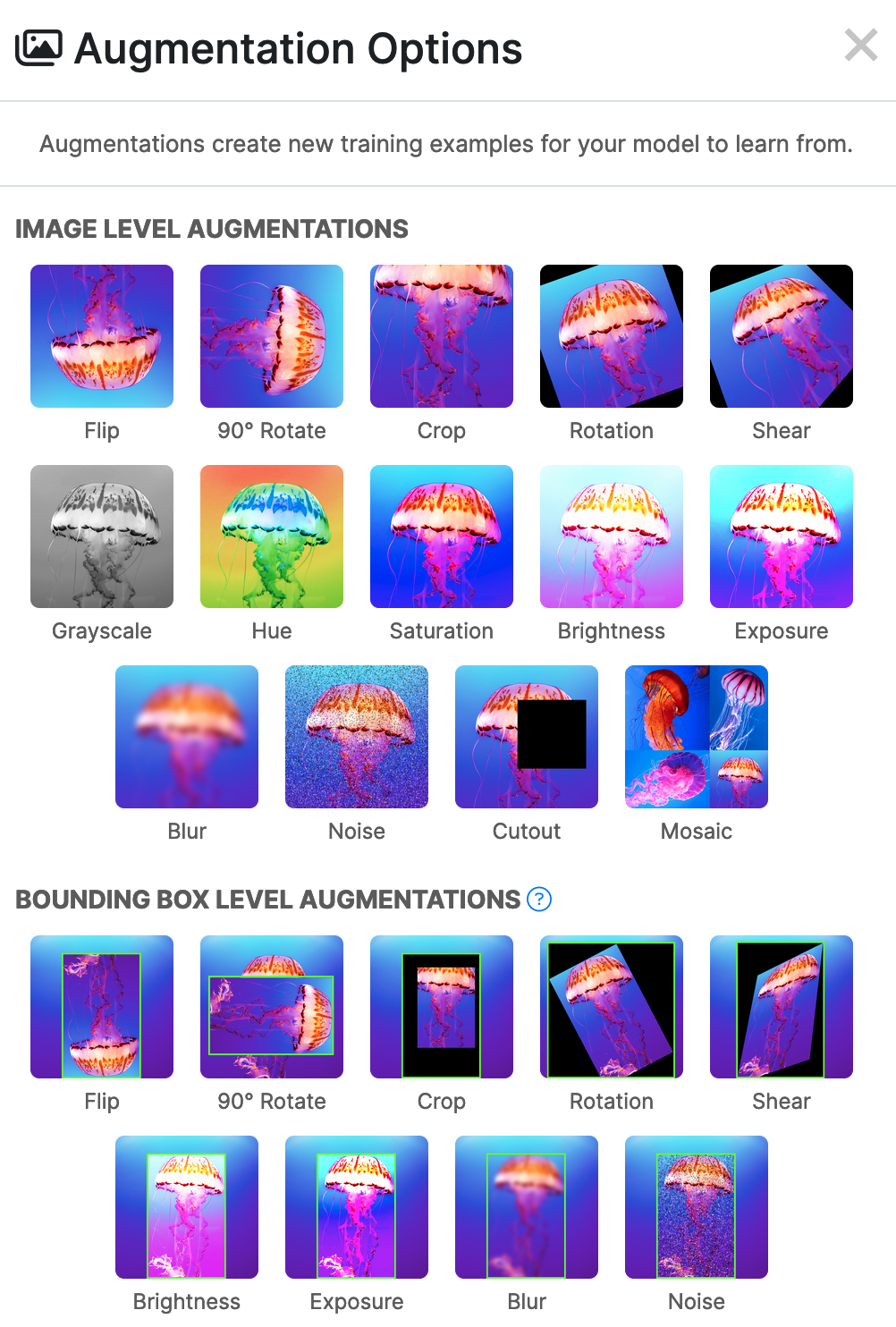 How to Augment Images for Object Detection
