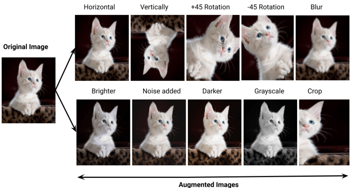 What is Contrastive Learning? A guide.