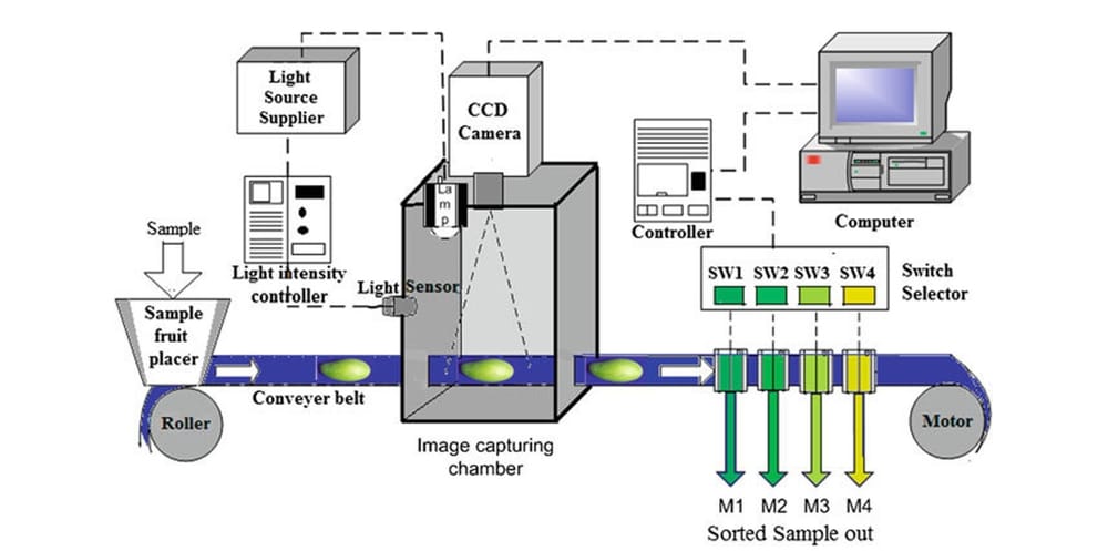 Autonomous Sorting with Computer Vision: Smarter Systems