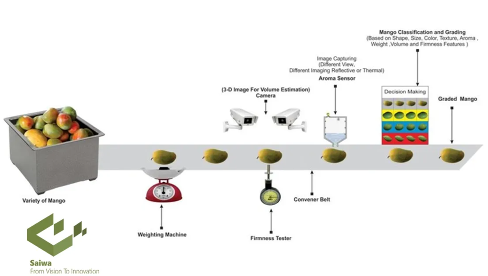 Autonomous Sorting with Computer Vision: Smarter Systems