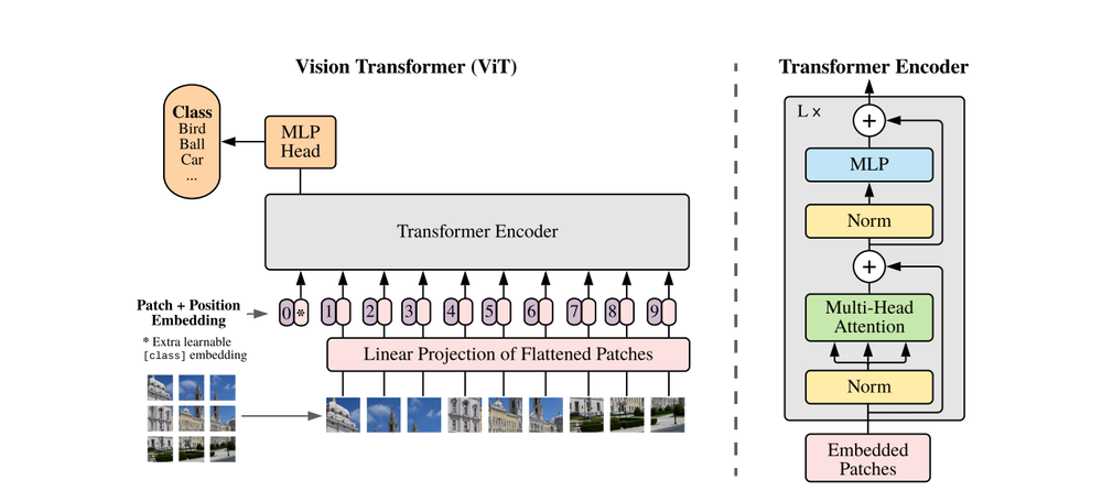 What is a Foundation Model? An Introduction.