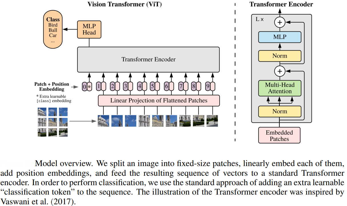 Vision Transformers Explained: The Future of Computer Vision?