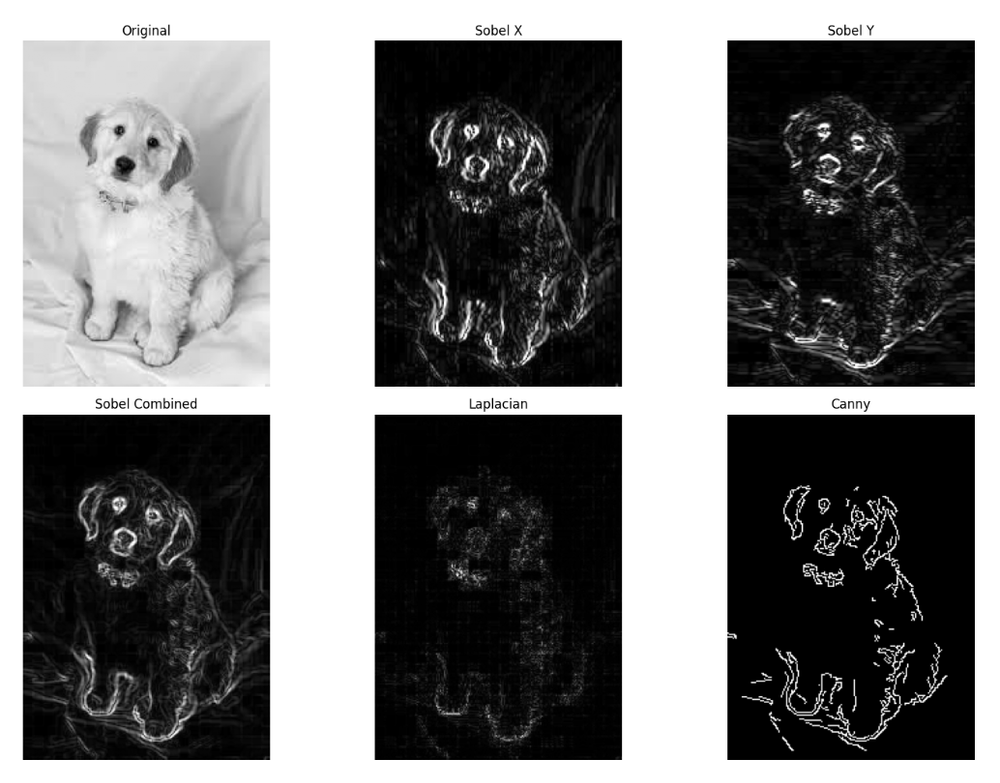 Image Processing with OpenCV: 7 Helpful Techniques