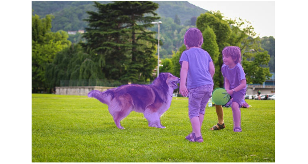 AI Image Analysis: Use Cases, Models & Real-World Examples