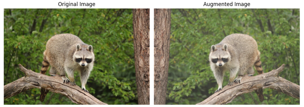 How to Use Albumentations for Computer Vision: Step By Step