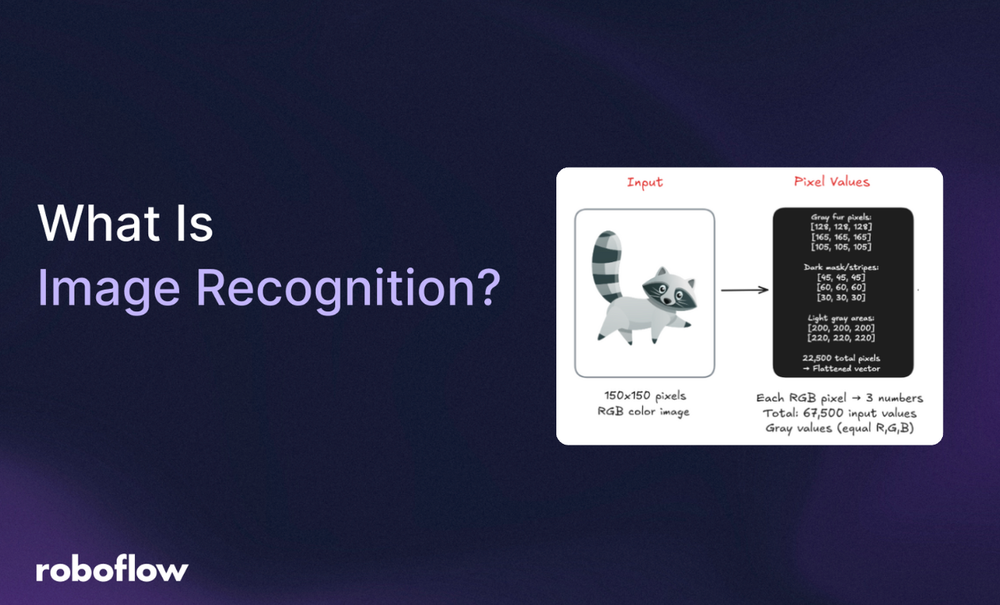 What Is Image Recognition AI? Algorithms and Applications