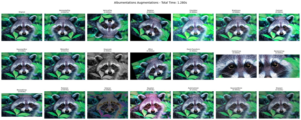 How to Use Albumentations for Computer Vision: Step By Step