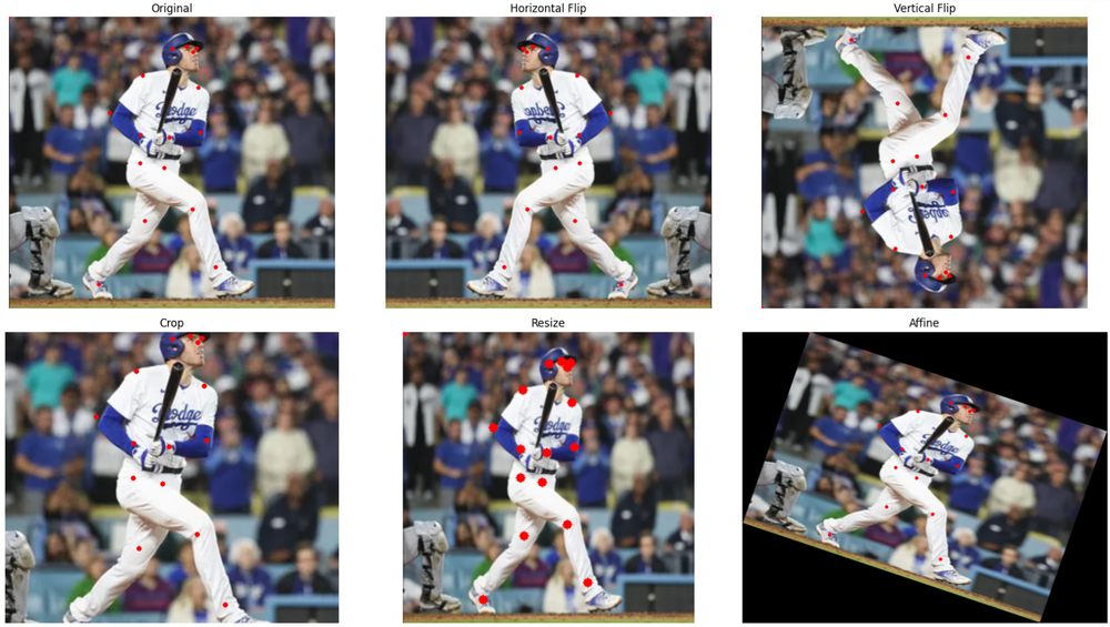 How to Use Albumentations for Computer Vision: Step By Step