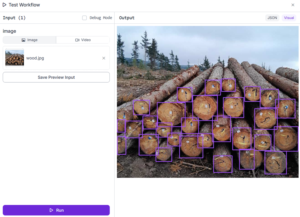What Is Image Recognition AI? Algorithms and Applications