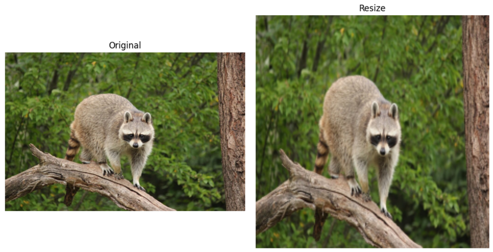 How to Use Albumentations for Computer Vision: Step By Step