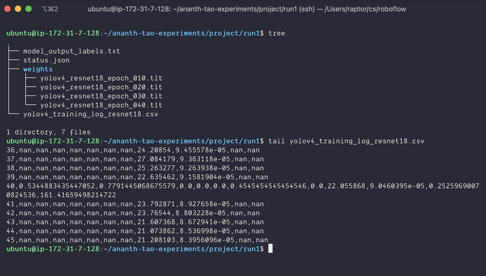 Computer Vision Models with NVIDIA TAO Toolkit & Roboflow
