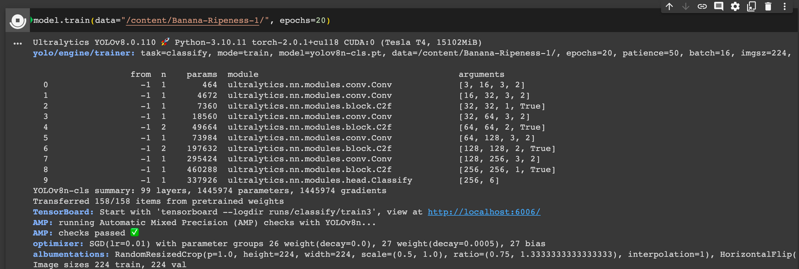 How to Train a YOLOv8 Classification Model