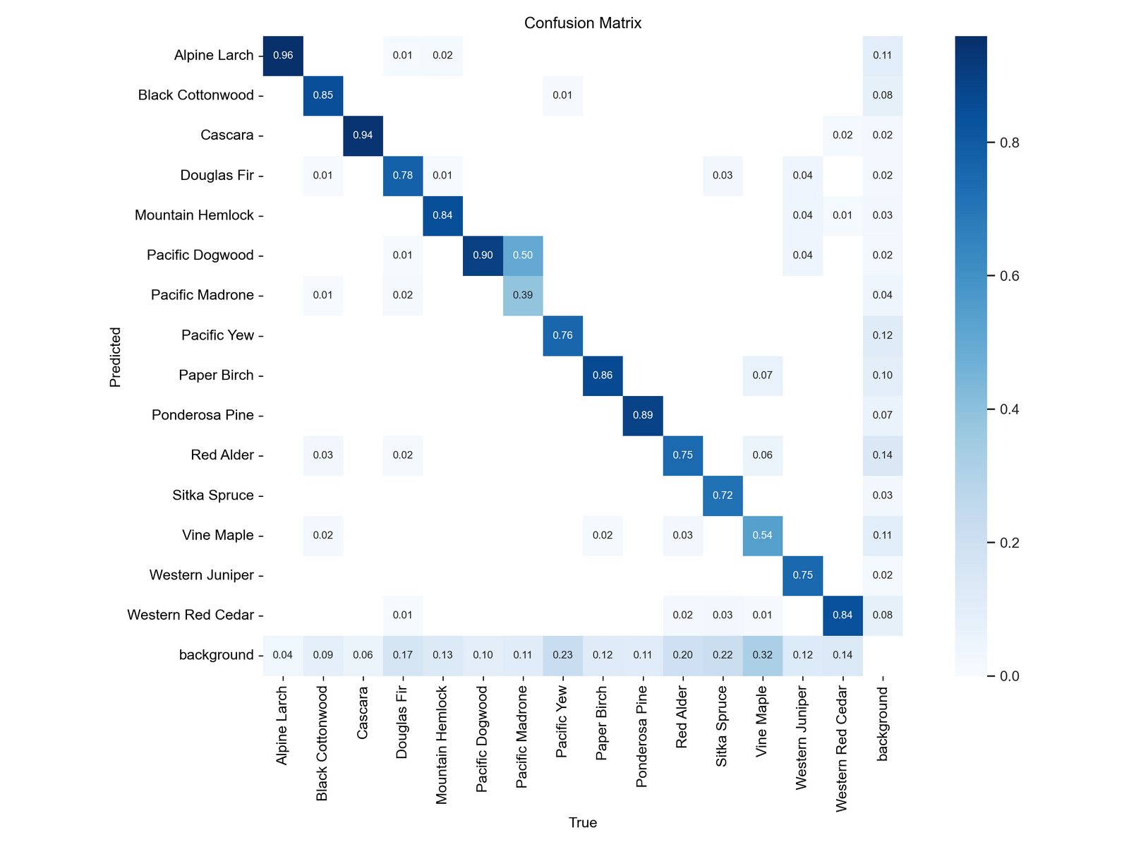 Automated Labeling for Images Organized in Folders