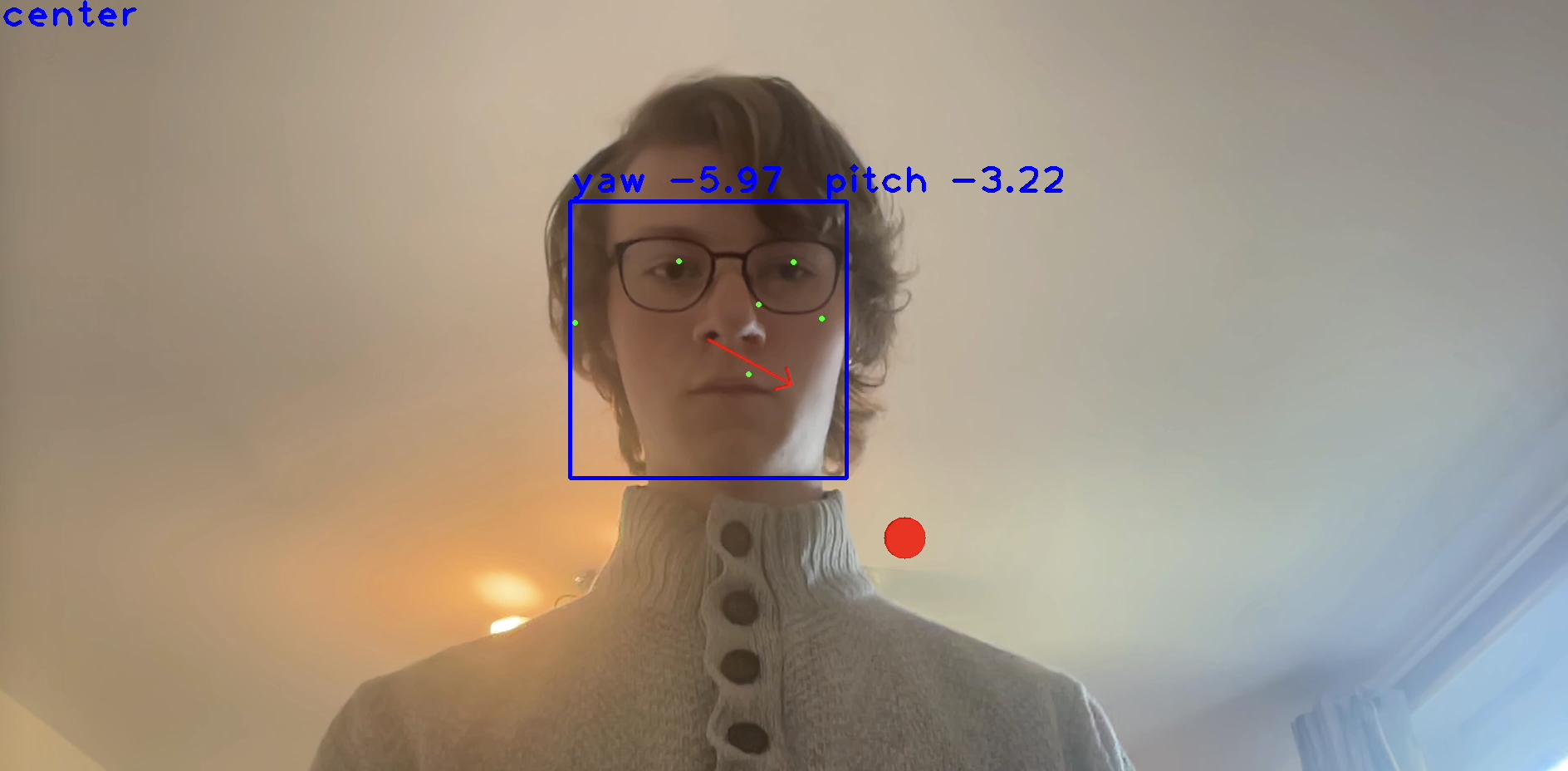 Gaze Detection and Eye Tracking: A How-To Guide