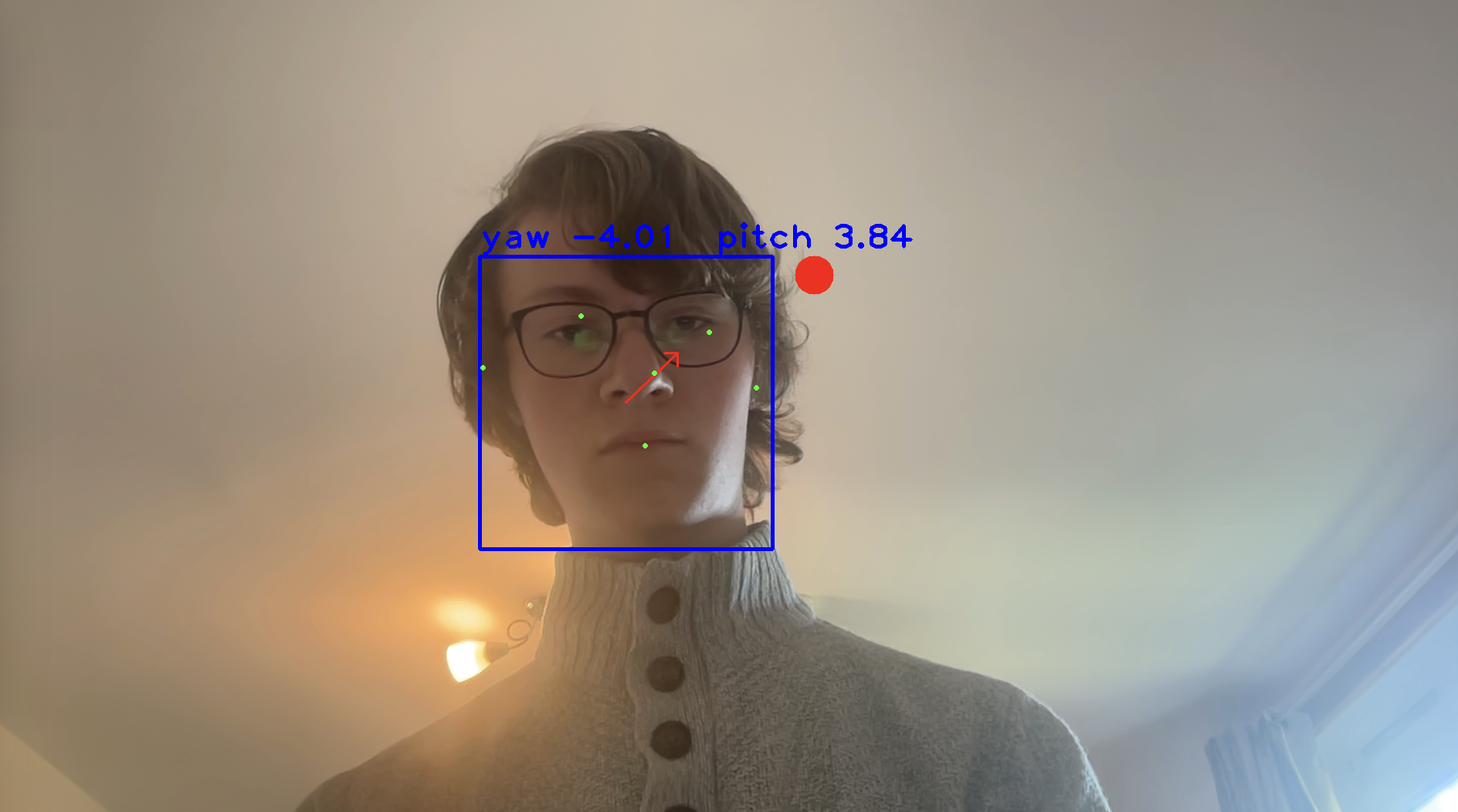 Gaze Detection and Eye Tracking: A How-To Guide
