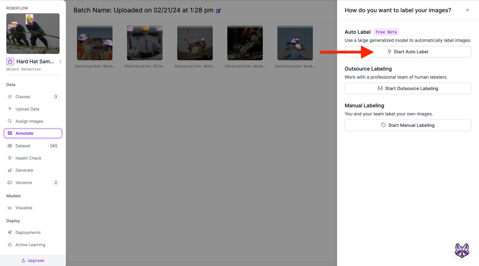 Launch: Auto Label Images with Roboflow