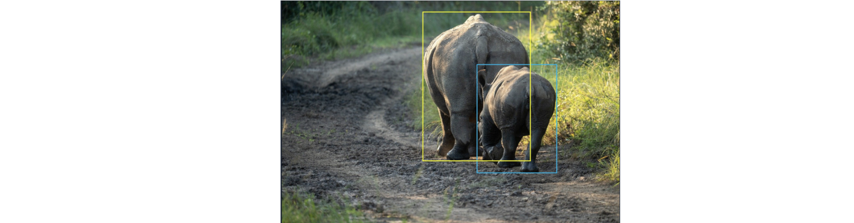 Data Annotation Explained: Types, Tools, When to Use Each