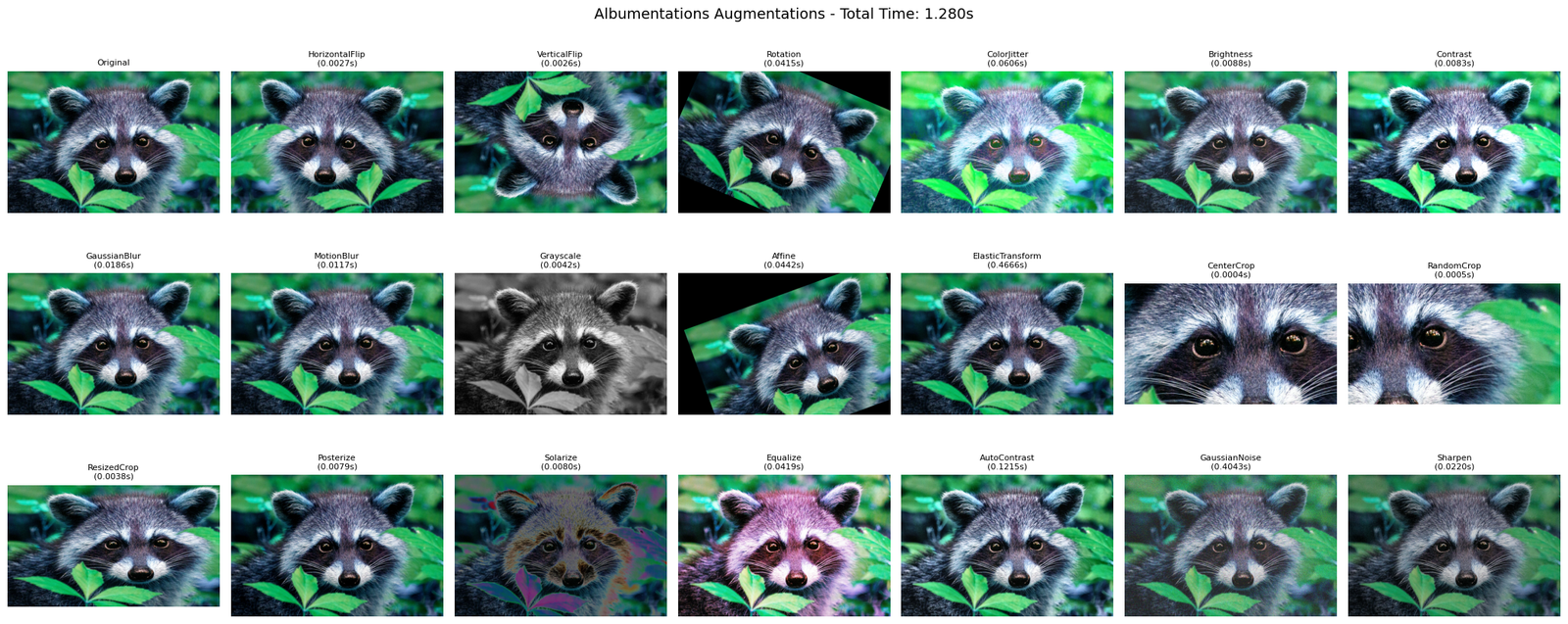 How to Use Albumentations for Computer Vision: Step By Step
