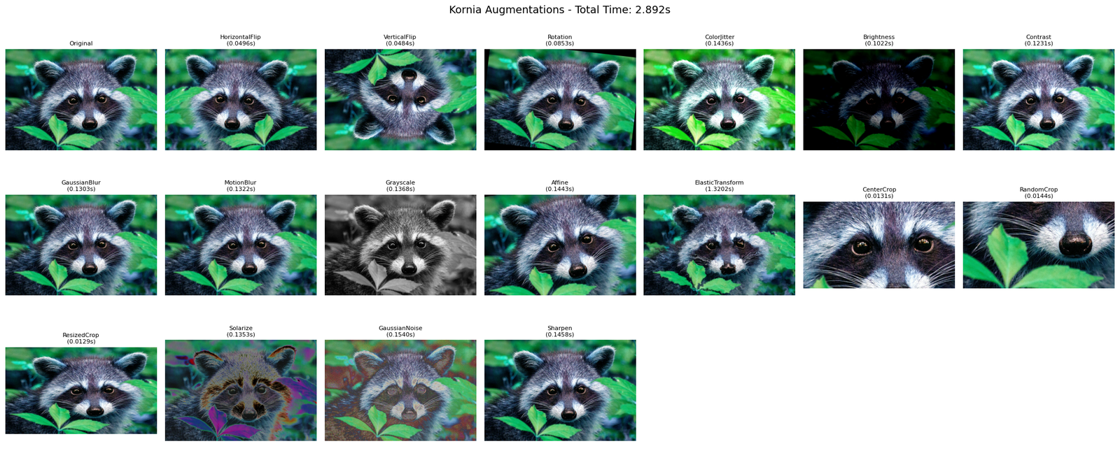 How to Use Albumentations for Computer Vision: Step By Step