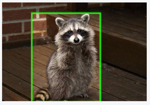 Why and How to Implement Random Crop Data Augmentation