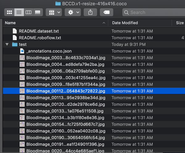 Training a TensorFlow Faster R-CNN Object Detection Model on a Custom Dataset