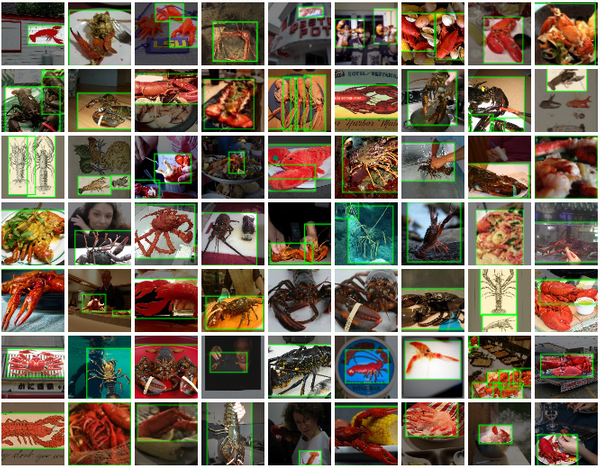 How to Build a Custom Open Images Dataset for Object Detection