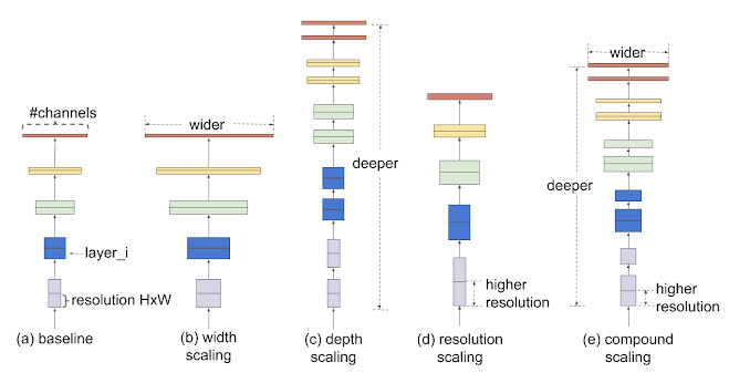 How to Train an EfficientNet Model with a Custom Dataset