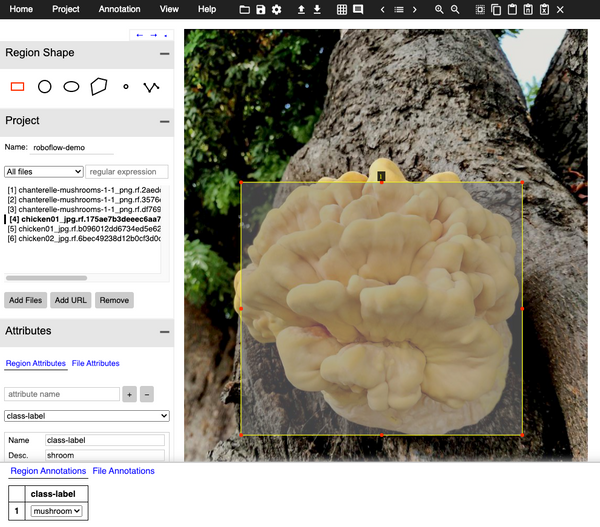 Getting Started With Vgg Image Annotator For Object Detection Tutorial