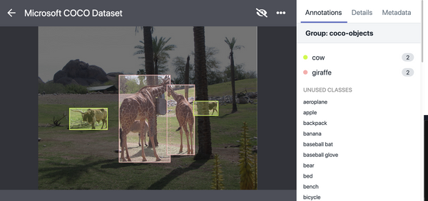 An Introduction to the COCO Dataset