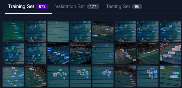 How to Train a YOLOv7 Model on a Custom Dataset