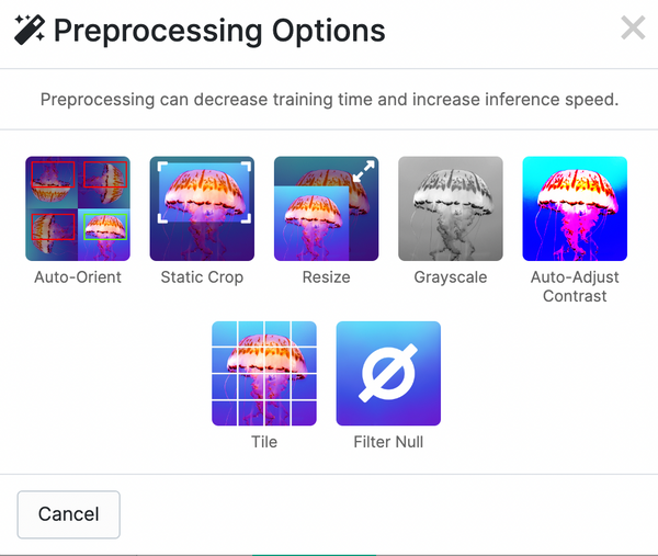 How to Train YOLOv5 Instance Segmentation on a Custom Dataset