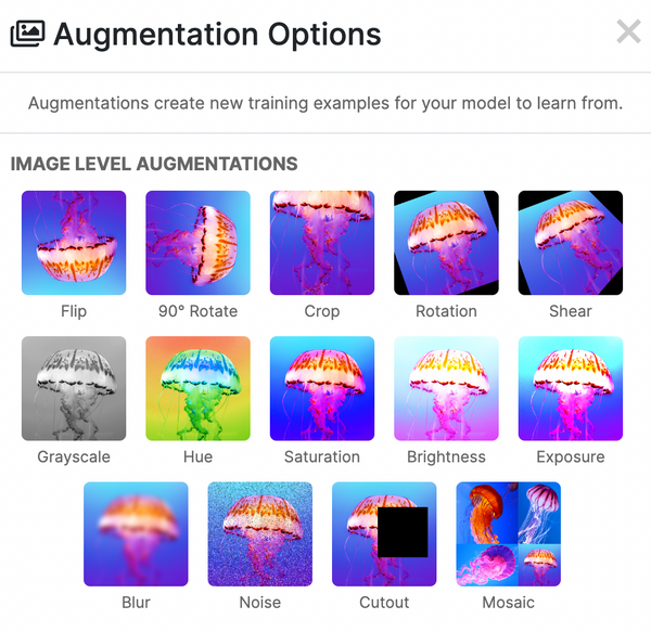 How to Train YOLOv5-Classification on a Custom Dataset