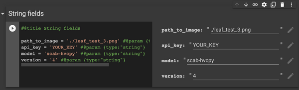 What is a Segmentation Mask? An Introduction.