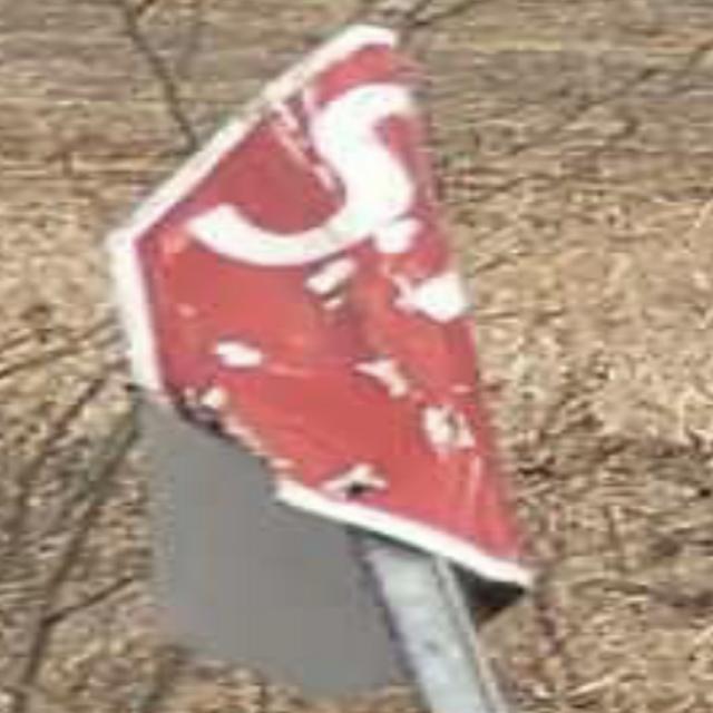 Train an Image Classification Model with No Labeling