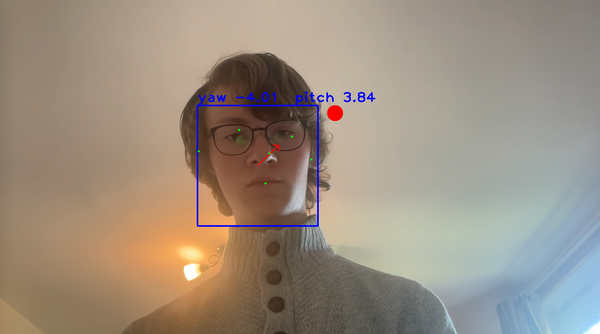 Gaze Detection and Eye Tracking: A How-To Guide