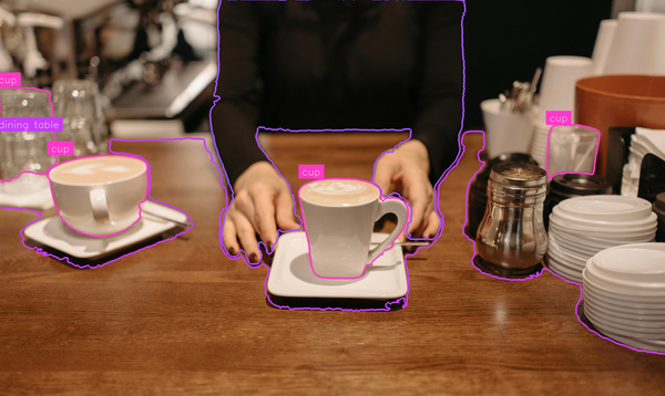 Launch: Use Segment Anything 2 with Roboflow