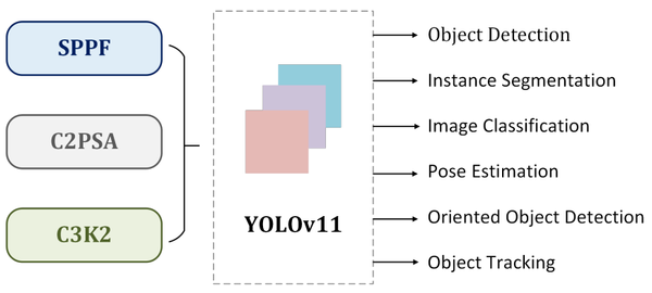 What is YOLOv11? An Introduction