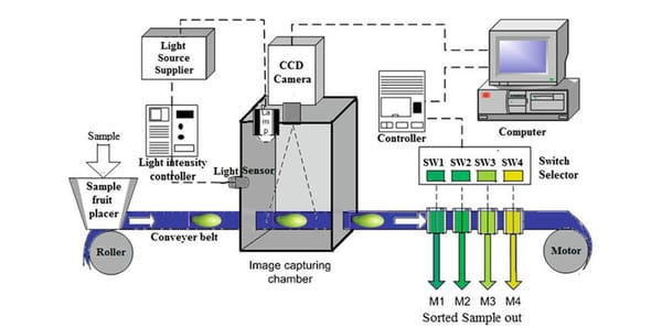 Autonomous Sorting with Computer Vision: Smarter Systems