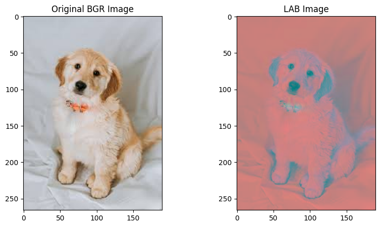 OpenCV Color Spaces and Conversion: An Introduction