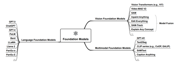 What is a Foundation Model? An Introduction.